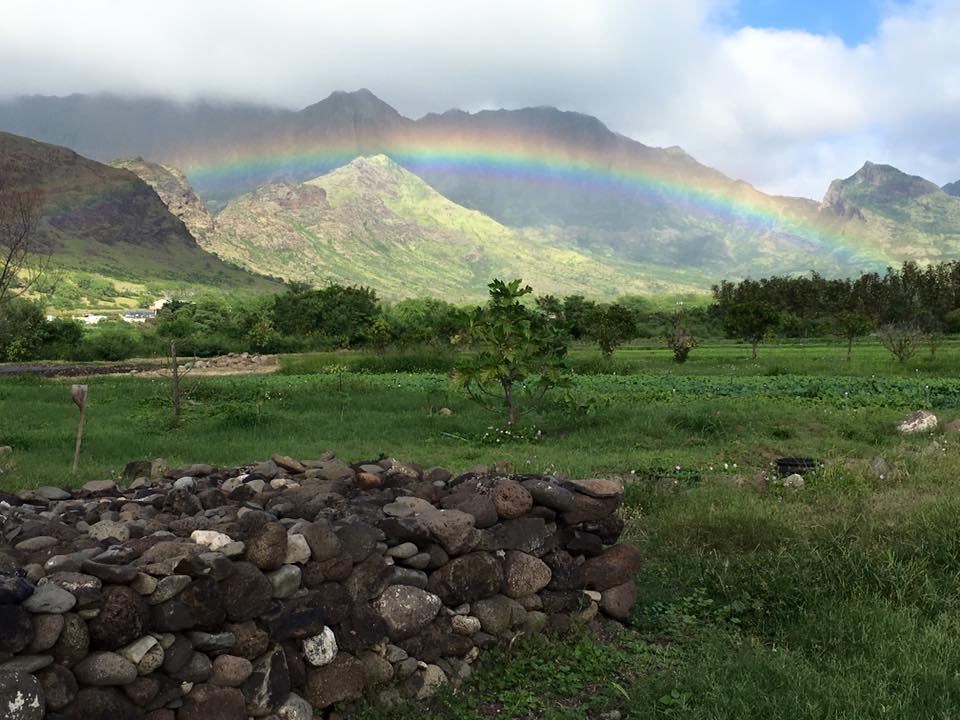 Tour #2: MA’O Organic Farm – Parade of Farms