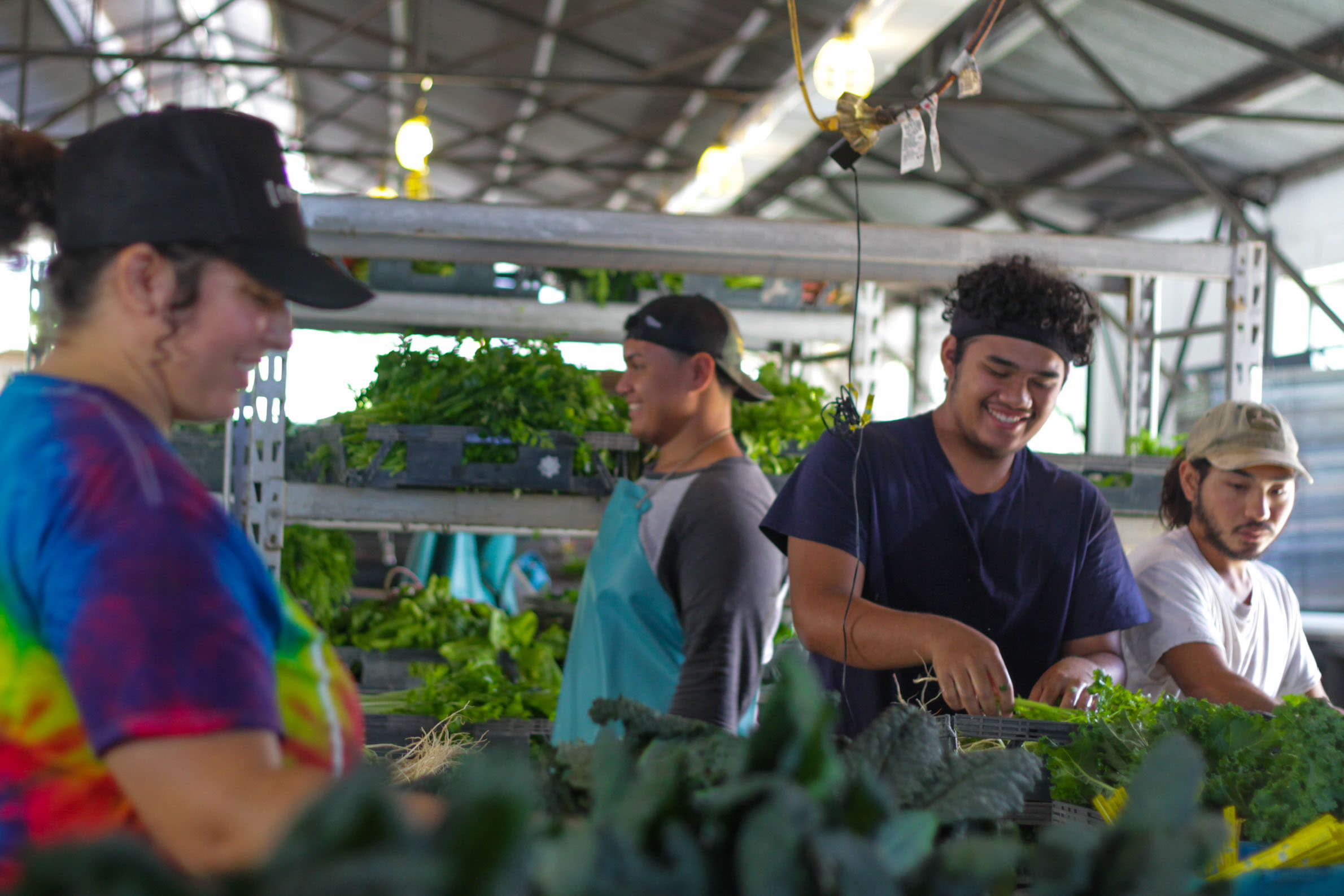 Tour #2: MA’O Organic Farm – Parade of Farms
